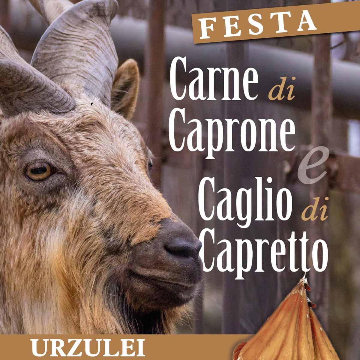 Sagra carne di caprone e del caglio di capretto a Urzulei, programma 2024!